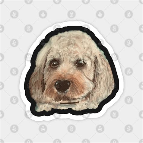Cavapoo Dog Hand Paianted On Black Background Cavapoo Magnet