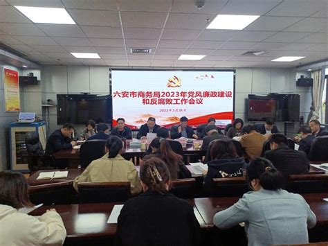 市商务局召开2023年党风廉政建设和反腐败工作会议六安市商务局（六安市人民政府口岸办公室）