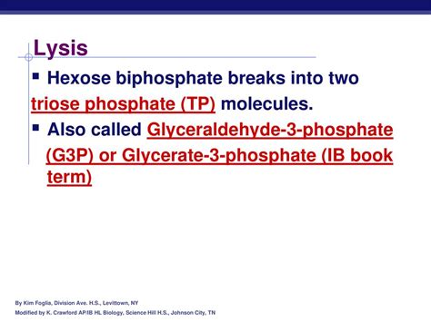 I Cellular Respiration Stage 1 Glycolysis Ppt Download
