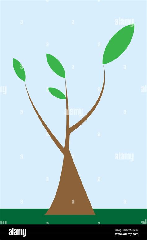 A Small Tree With Small Leaves Tree At Spring Time Blue Sky Short Tree Green And Blue And