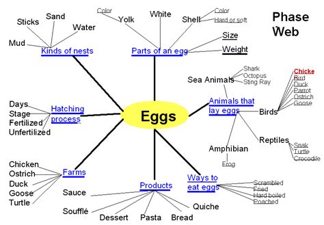 Ecrp Vol 6 No 2 The Chicken And Egg Project