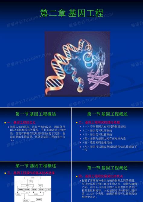 基因工程基因工程概述ppt模板下载 编号ldppvkow 熊猫办公