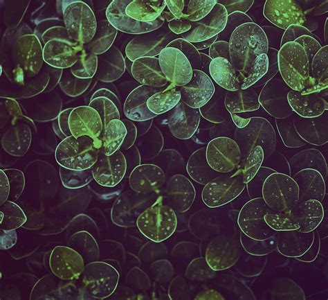 Lightbox Mantis Bootstrap 5 Admin Template