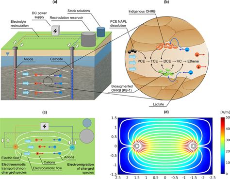Schematic Of Electrokinetic Ek‐bio For A System Consisting Of Two Download Scientific Diagram