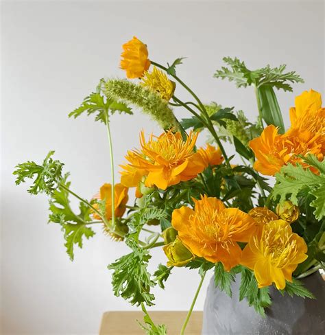 어니스트플라워 스타일링 트롤리우스 효과