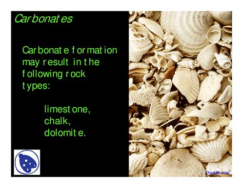 Carbonates Stratigraphy Lecture Slides Docsity