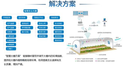 智慧大棚 智慧农业物联网解决方案 智慧农业电子科技