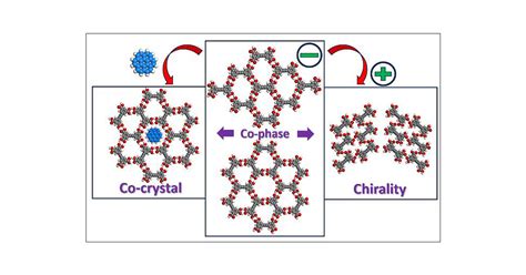 Structural Diversity Of 2d Molecular Self Assemblies Arising From Carboxyl Groups Attached To A