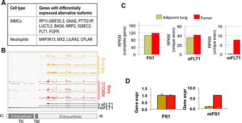 Rna Deep Sequencing Analysis Unravels Differentially Regulated Mrna