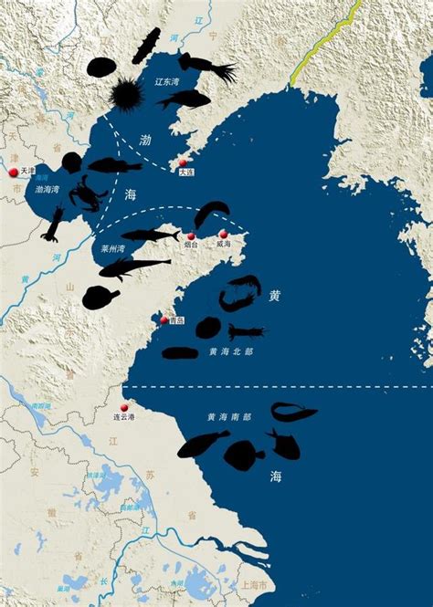 中國最北的內海面積相當於17個青海湖 每日頭條