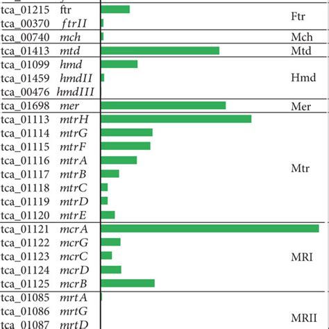 The Methanogenesis Pathway And Gene Expression Patterns Of Download Scientific Diagram