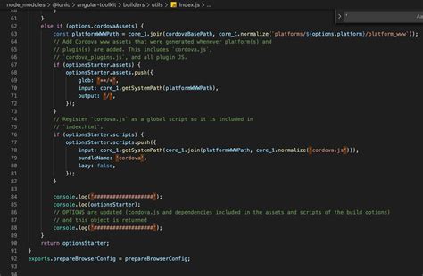 Cordovajs Will Not Be Added On Livereload With Angular 9 · Issue 184 · Ionic Teamangular