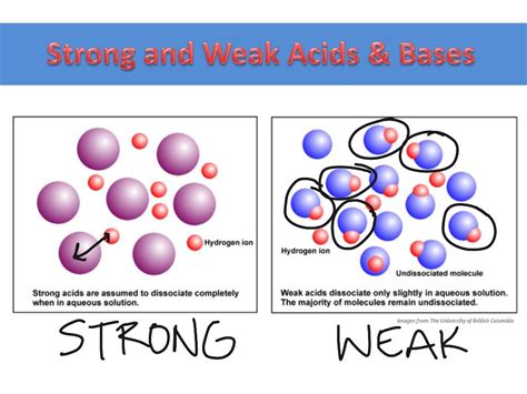 Understanding The Difference Between Strong And Weak Acids