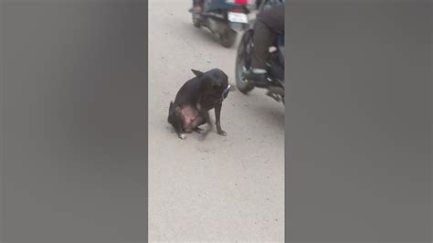 Aripu Aripu😄 Youtube