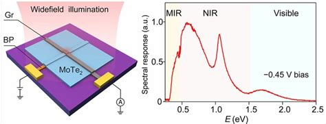Toc High Performance Mid Ir To Deep Uv Van Der Waals Photodetectors