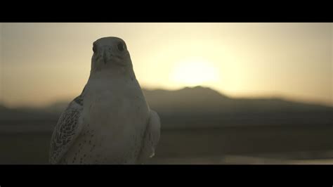 Soltec On Linkedin Welcome To Soltec