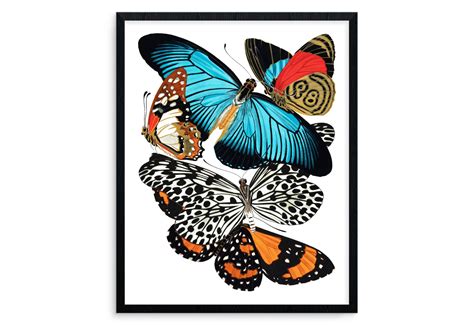 Papillons By Ea Seguy Plate 11 Colourful Vintage Butterfly Print Etsy