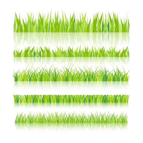 Premium Vector Vector Illustration Set With Realistica Grass Nature