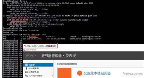 Nginx Windows