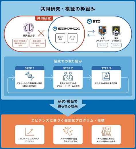 Ds News