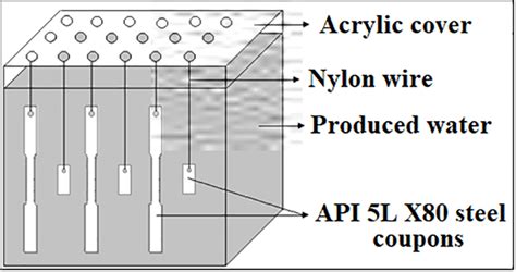 Schematic Diagram Of The Static Systems Used In The Experiments