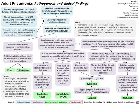 Community Acquired Pneumonia Pathophysiology Schematic Diagr