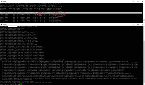 Salt Minions Service Consuming Over 100 Cpu On Ubuntu Cannot Remove It Or Find How Its