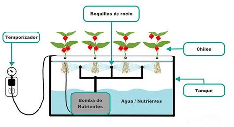 Planos De Tanques Hidroponicos Manual De Hidroponia PDF Hidroponia