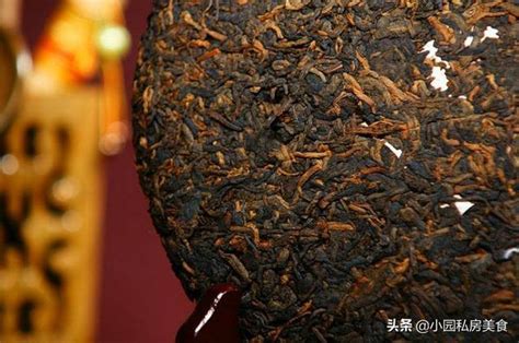 20年茶商教你買普洱茶，記住這「4點」，不怕買不到好的普洱茶 每日頭條