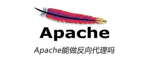 Apache可以做反向代理吗 知乎