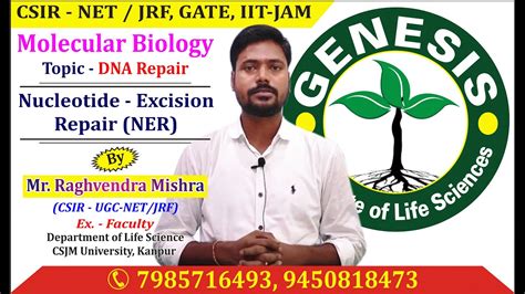 Molecular Biology Dna Repair Nucleotide Excision Repair Csir Jrf