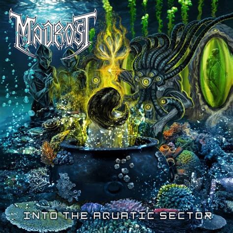 Into The Aquatic Sector Madrost