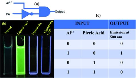 Operation Of Inhibit Logic Gate A Pictorial Representation Of The Download Scientific