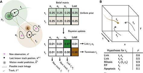 Publications Alan R Lowe