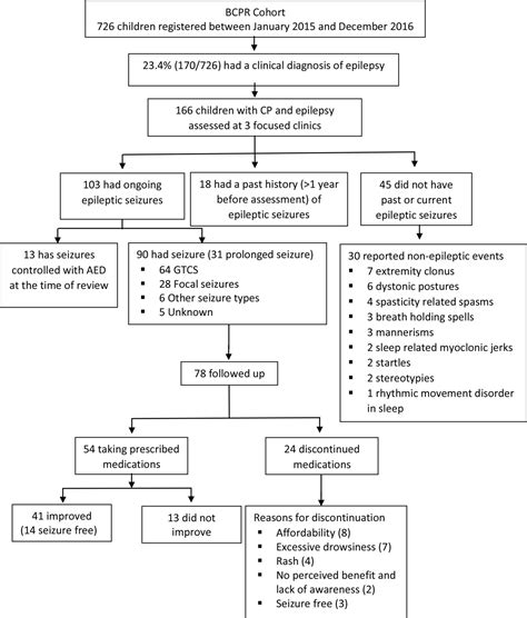 Seizure Types Chart