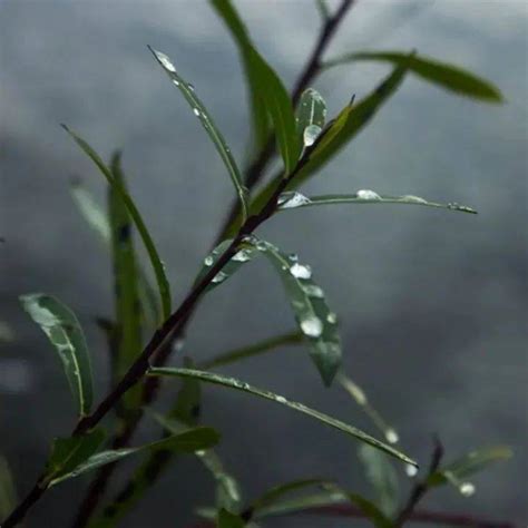 心言堂 空山灵雨，归心释怀诸念一念涟漪