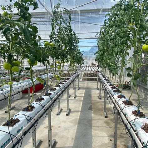Hydroponics Greenhouse Substrate Gutter Strawberry Grow Gutter Pvc