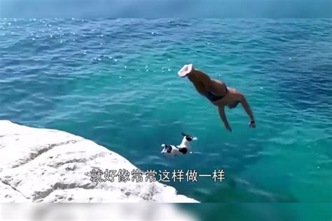 狗狗会游泳很正常，但你见过还会潜水的汪星人吗？潜水游泳汪星人