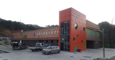 강릉시 반려동물 친화도시 부상반려동물지원센터 건립