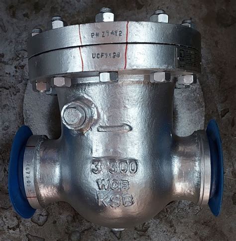 Nrv Swing Type Check Valve For Industrial Certification Isi
