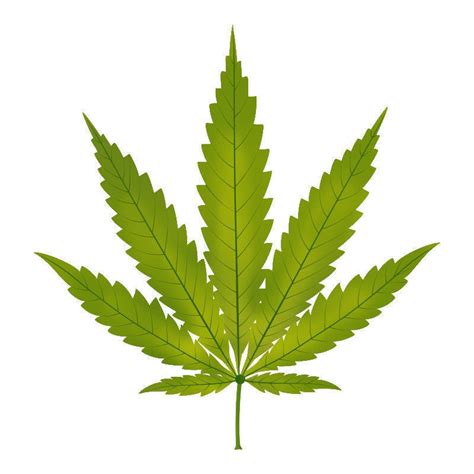 How To Fix Zinc Deficiency In Cannabis Plants