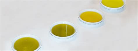 Tipos De Aceites De Oliva Aptos Para Su Consumo Blog Hacienda