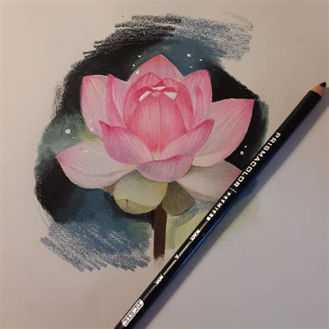 How To Draw A Lotus Flower