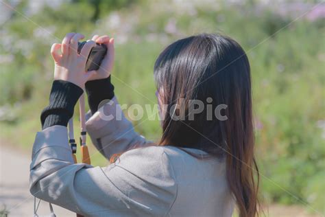 인간 사람 여자 뒷모습 카메라 사진 이미지 일러스트 캘리그라피 Junofoto작가