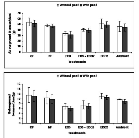 Aboveground And Belowground Biomass Of Maize Plants Under Different