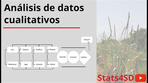 Webinar Análisis De Datos Cualitativos Youtube