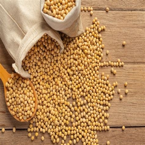 Soya Bean Sovimex Co Ltd