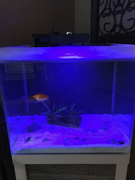 Fluval M40 Aio Cube Complete Systems Austin Reef Club