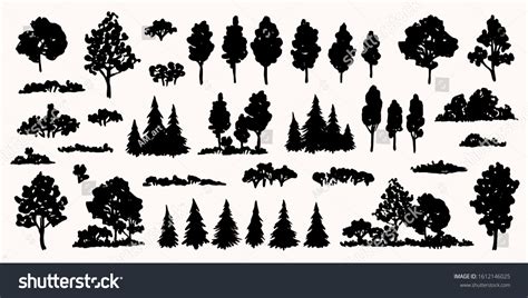 Trees Sketch Set Hand Drawn Graphic Stock Vector Royalty Free