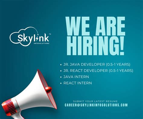 Hiring Itjobs Javadevelopers Reactdevelopers Internship Softwarejobs Skylinkinfosolutions